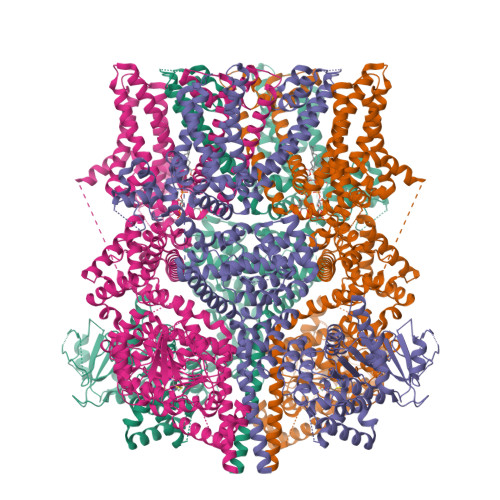 RCSB PDB - 8E4N: The closed C1-state mouse TRPM8 structure in complex ...