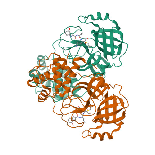 RCSB PDB - 8E4W: Crystal Structure of SARS CoV-2 Mpro mutant N142P with ...