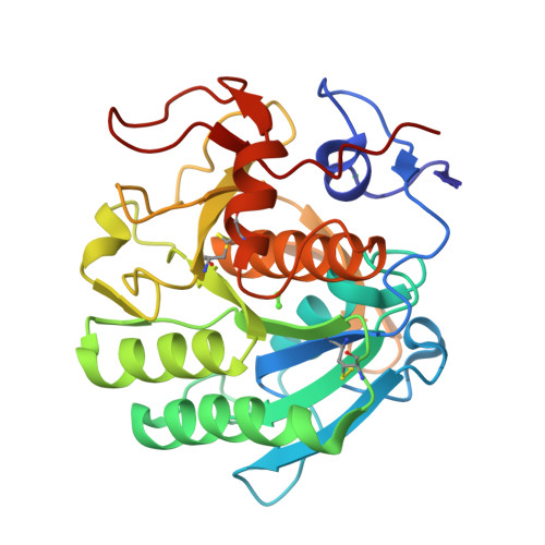 RCSB PDB - 8E52: MicroED structure of proteinase K recorded on K2