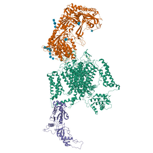 RCSB PDB - 8E5A: Human L-type voltage-gated calcium channel Cav1.3 ...