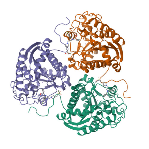 RCSB PDB - 8E5M: Structure of ARG1 complex with pyrrolidine-based non ...