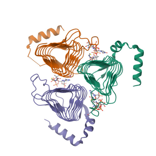 RCSB PDB - 8E62: STRUCTURE OF Pcryo_0615 from Psychrobacter ...
