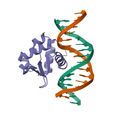 RCSB PDB - 8E66: ETV6 H396Y variant bound to DNA containing the ...