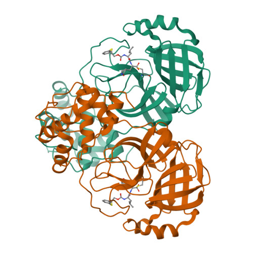 RCSB PDB - 8E6E: Crystal structure of MERS 3CL protease in complex with ...