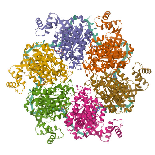 RCSB PDB - 8E70: Escherichia coli Rho-dependent transcription pre ...