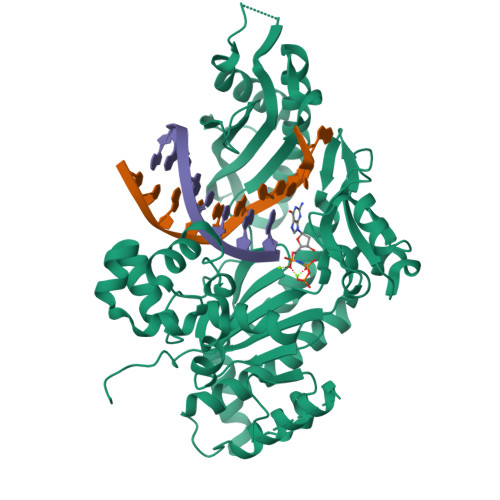 RCSB PDB - 8E87: Human DNA polymerase eta-DNA-rA-ended primer-dGMPNPP ...