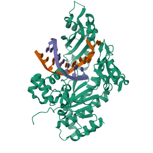 RCSB PDB - 8E89: Human DNA polymerase eta-DNA-rU-ended primer-binary ...