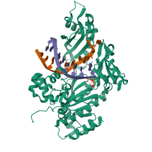 RCSB PDB - 8E8E: Human DNA polymerase eta-DNA-rU-ended primer ternary ...