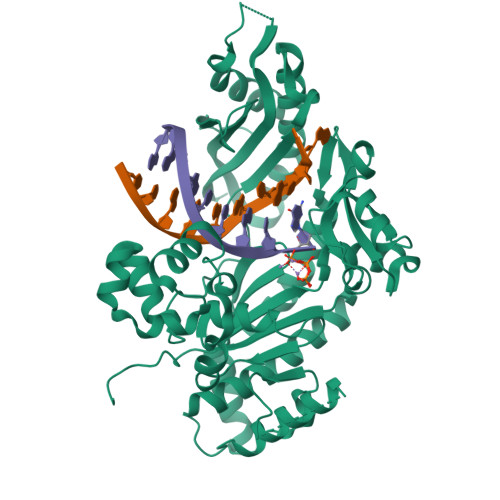 RCSB PDB - 8E8H: Human DNA polymerase eta-DNA-rU-ended primer ternary ...