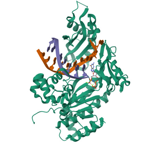 RCSB PDB - 8E8J: Human DNA polymerase eta-DNA-rG-ended primer-dGMPNPP ...