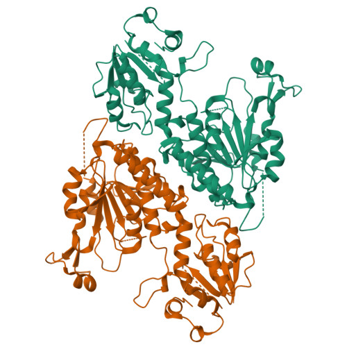 RCSB PDB - 8E8T: Structure of the short LOR domain of human AASS