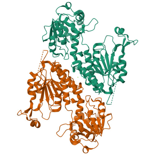 RCSB PDB - 8E8U: Structure of the LOR domain of human AASS
