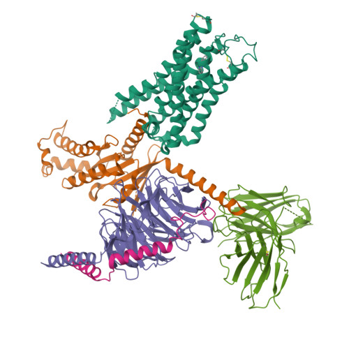 RCSB PDB - 8E9W: CryoEM structure of miniGq-coupled hM3Dq in complex ...