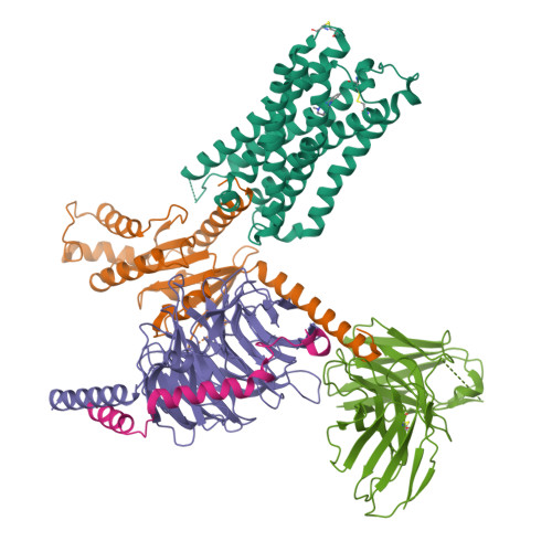 RCSB PDB - 8E9X: CryoEM structure of miniGo-coupled hM4Di in complex ...