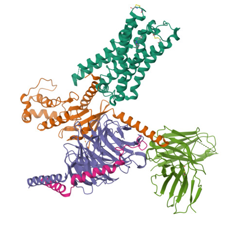RCSB PDB - 8E9Y: CryoEM structure of miniGq-coupled hM3Dq in complex ...