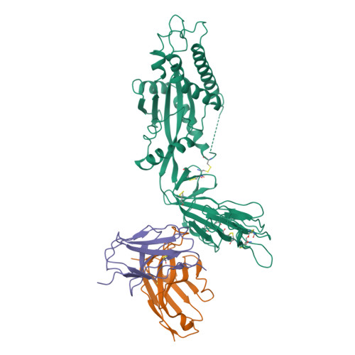 RCSB PDB - 8EAY: HMPV F complex with 4I3 Fab