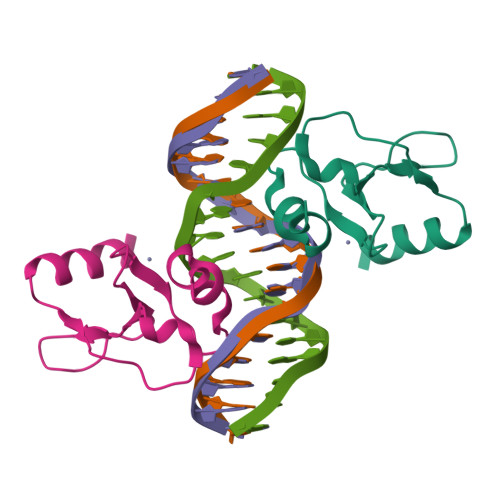 RCSB PDB - 8EB5: Tandem of Hermes transposase BED domain in complex ...