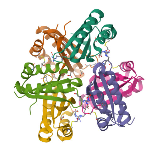 RCSB PDB - 8ECX: PA0709 with glyoxal and BME modifications