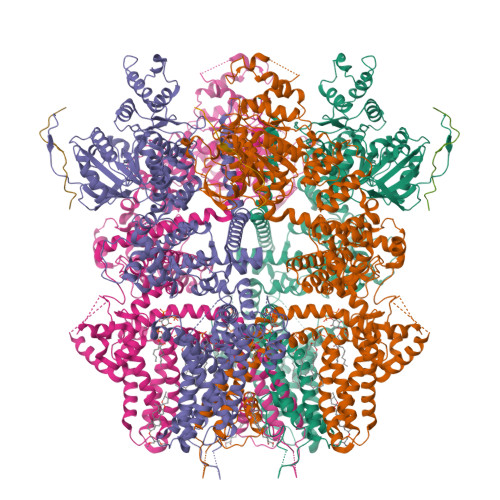 RCSB PDB - 8ED8: cryo-EM structure of TRPM3 ion channel in the presence ...