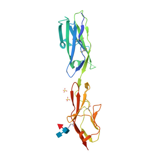 RCSB PDB - 8EDC: Structure of C. elegans UNC-5 IG 1+2 Domains