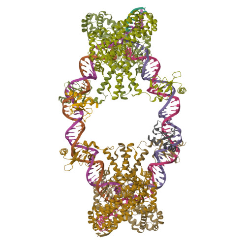RCSB PDB - 8EDG: Cryo-EM structure of the Hermes transposase bound to ...