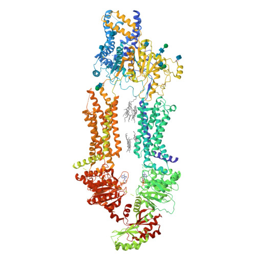 RCSB PDB - 8EE6: Cryo-EM Structure of human ABCA7 in PE/Ch nanodiscs