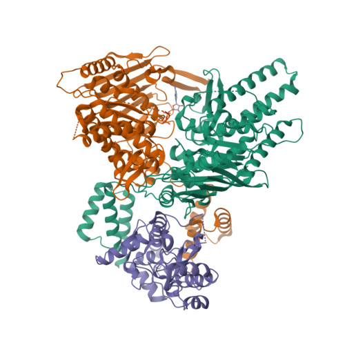 RCSB PDB - 8EE7: Structure of focused PtuA(dimer) and PtuB(monomer) complex