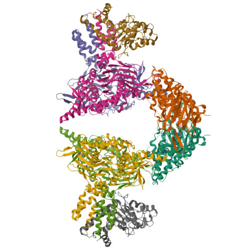RCSB PDB - 8EEA: Structure of E.coli Septu (PtuAB) complex