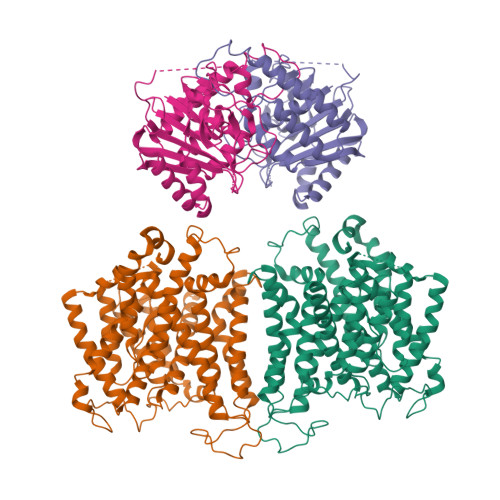 RCSB PDB - 8EEQ: CryoEM structures of bAE1 captured in multiple states.