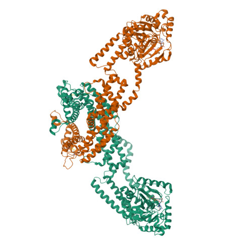 RCSB PDB - 8EEW: CryoEM of the soluble OPA1 dimer from the GDP-AlFx ...