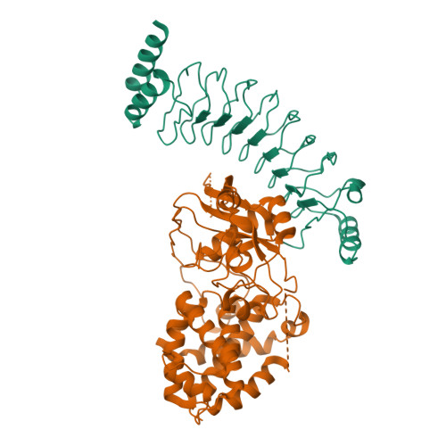 RCSB PDB - 8EFP: CryoEM structure of GSDMB in complex with shigella IpaH7.8