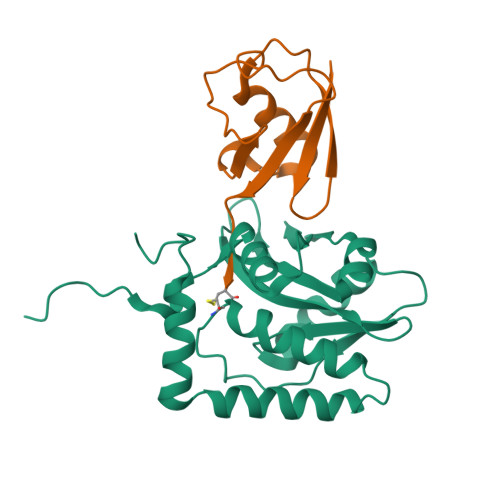 RCSB PDB - 8EFW: Structure of SdeA DUB Domain disulfide crosslinked ...