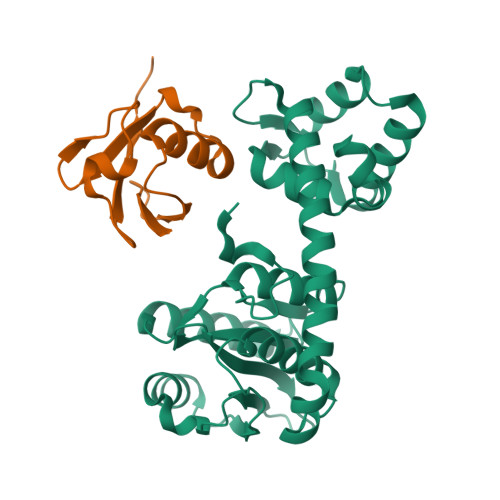 RCSB PDB - 8EFX: Structure of OtDUB DUB Domain disulfide crosslinked ...