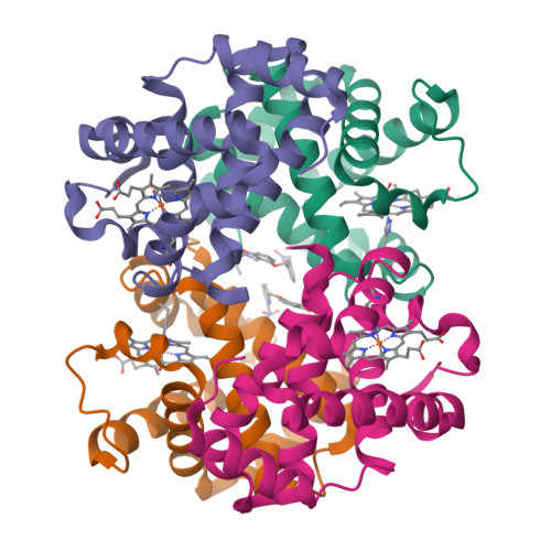 RCSB PDB - 8EGI: X-ray structure of carbonmonoxy hemoglobin in complex ...