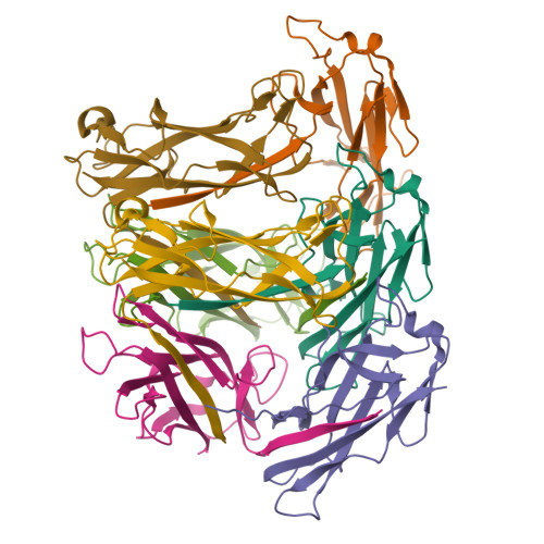 RCSB PDB - 8EHR: Cryo-EM reconstruction of the CFA/I bacterial adhesion ...