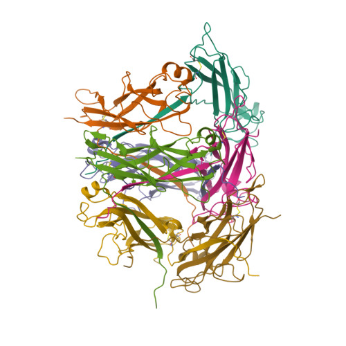 RCSB PDB - 8EHT: Cryo-EM reconstruction of the CS20 bacterial adhesion pili