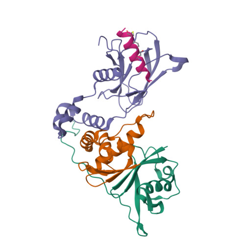 RCSB PDB - 8EI3: Crystal structure of VHL in complex with H313, a ...