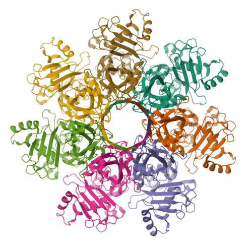 RCSB PDB - 8EKL: Clostridioides difficile binary toxin translocase CDTb ...