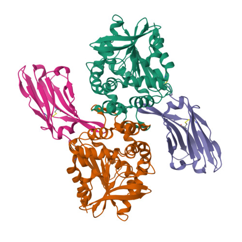 RCSB PDB - 8ELN: Crystal Structure of Nanobody VHH222 Bound to Its ...
