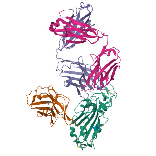 RCSB PDB - 8ELP: Crystal structure of SARS-CoV-2 spike protein receptor ...