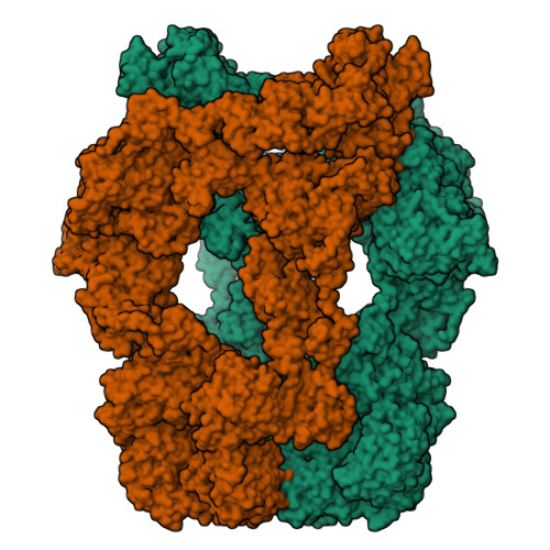 RCSB PDB - 8EM7: Cryo-EM structure of LRP2 at pH 5.2