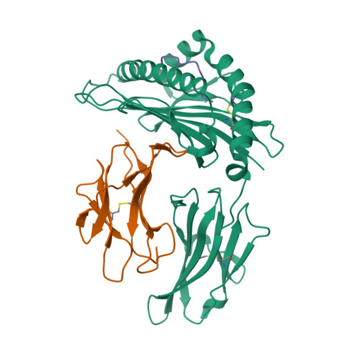 RCSB PDB - 8EMJ: Crystal structure of HLA-B*35:01-NP9 epitope from 2006 ...