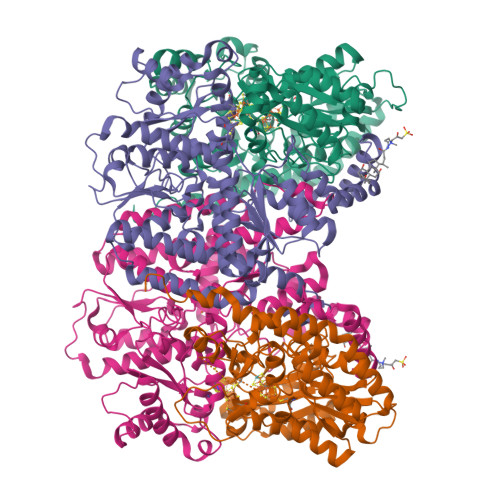 RCSB PDB - 8ENL: CryoEM structure of the high pH turnover-inactivated ...