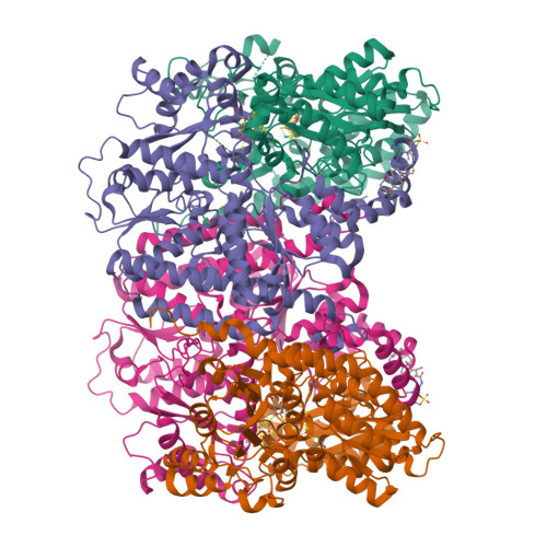 RCSB PDB - 8ENN: Homocitrate-deficient nitrogenase MoFe-protein from ...