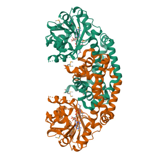 RCSB PDB - 8EP7: Crystal Structure of the Ketol-acid Reductoisomerase ...