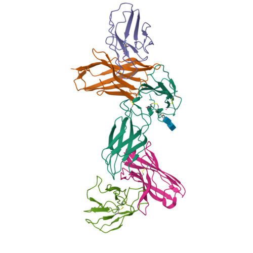 RCSB PDB - 8EPA: Structure of interleukin receptor common gamma chain ...