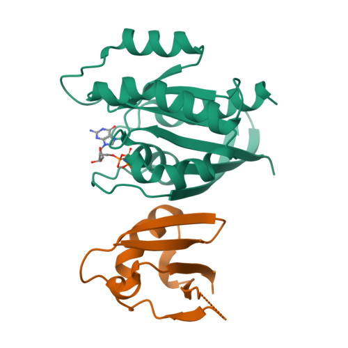RCSB PDB - 8EPW: Crystal Structure of KRAS4b-G13D (GMPPNP-bound) in ...