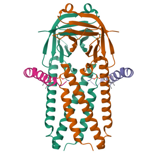 RCSB PDB - 8EQS: Structure of SARS-CoV-1 Orf3a in late endosome ...