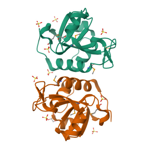 RCSB PDB - 8ER5: Crystal Structure of NlpC/P60 domain from Clostridium ...