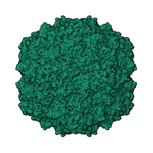 RCSB PDB - 8ERK: Acheta domesticus segmented densovirus, high buoyancy ...